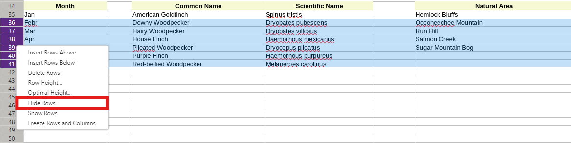 How to Hide and Group Rows and Columns in Collabora Online Calc Spreadsheets - Collabora Online ...
